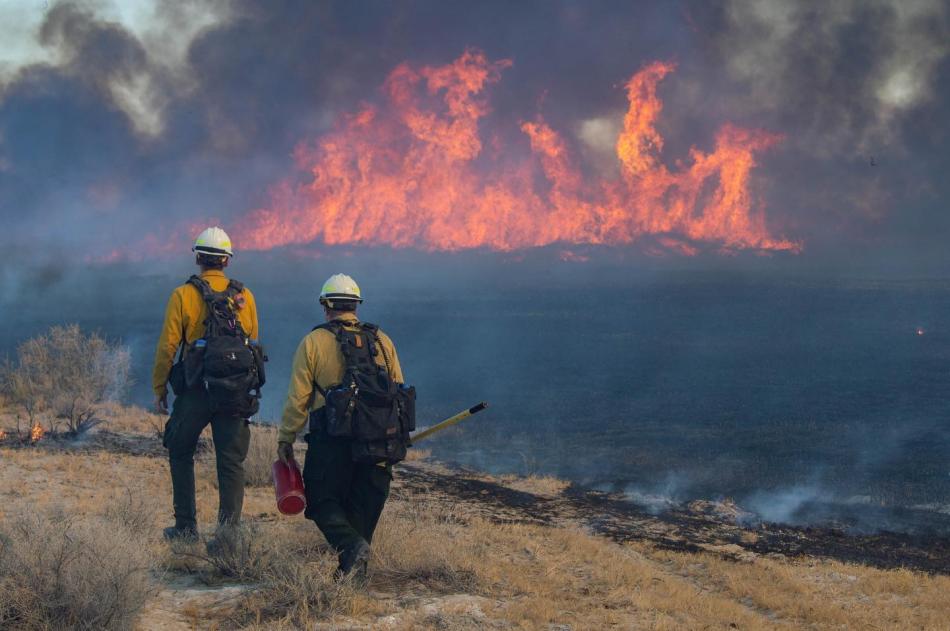 Talks begin in Nevada Legislature about NV Energy’s wildfire liability ...