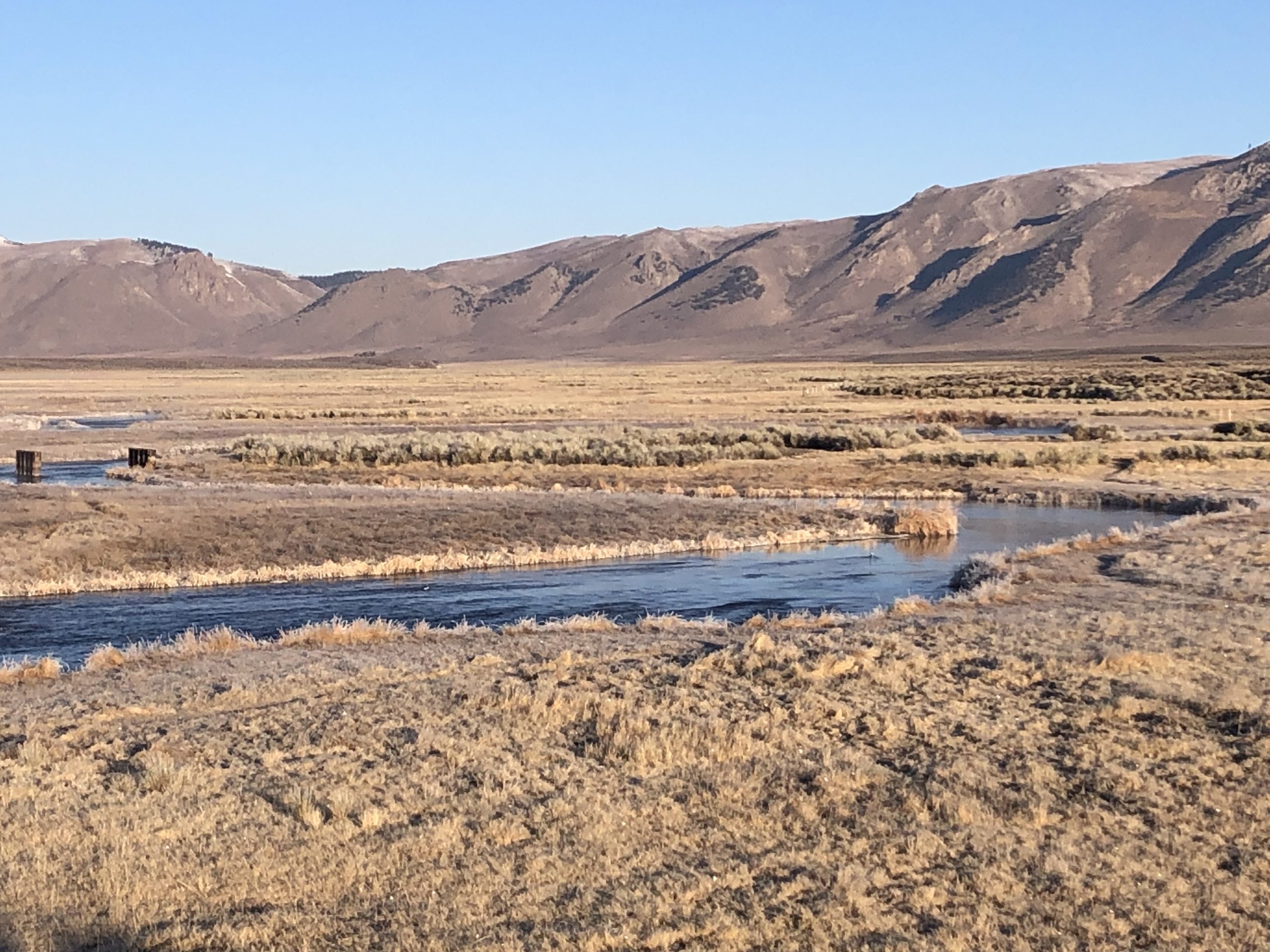 Fishing Report: Winter waters are dangerous, one teen angler dead due to ice - Carson Now