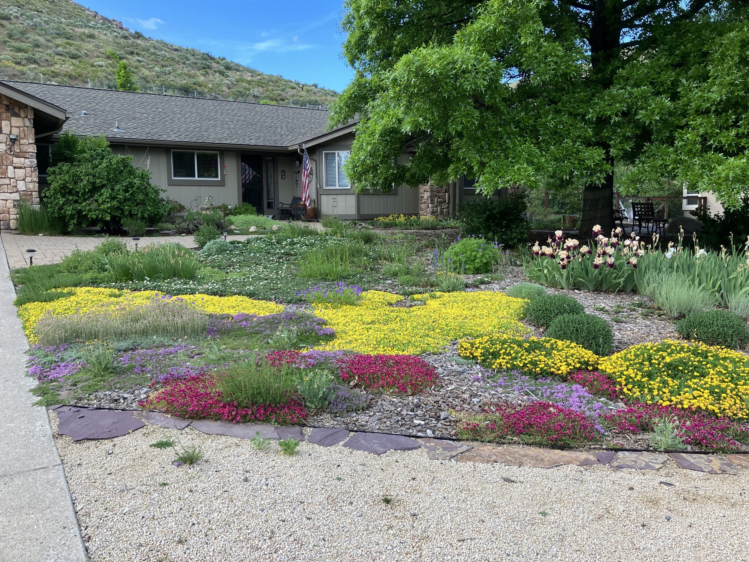 Northern Nevada backyards and gardens: Is xeriscape the answer ...