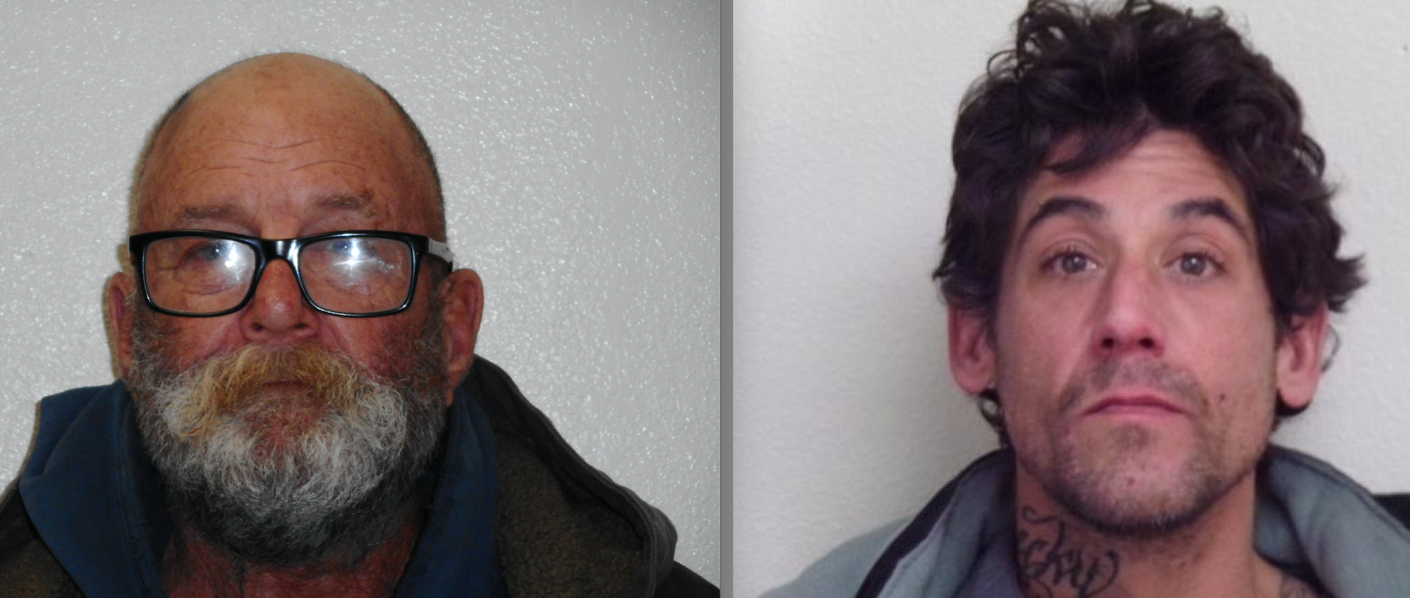 Lyon County Sheriff: 2 non-compliant sex offenders arrested in Silver ...