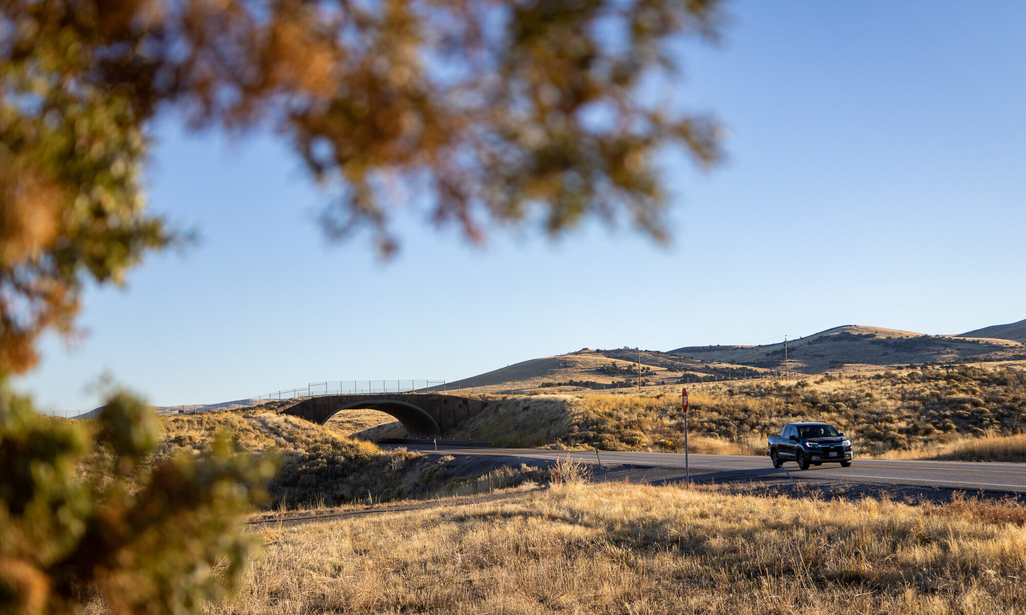 ‘Political realities’ killed Nevada bill that would permanently fund ...