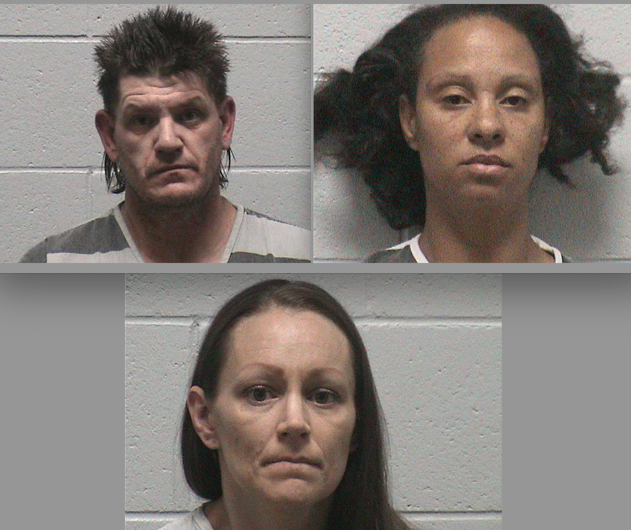 Lyon County Sheriff: Multiple arrests in mail theft, bank fraud ...