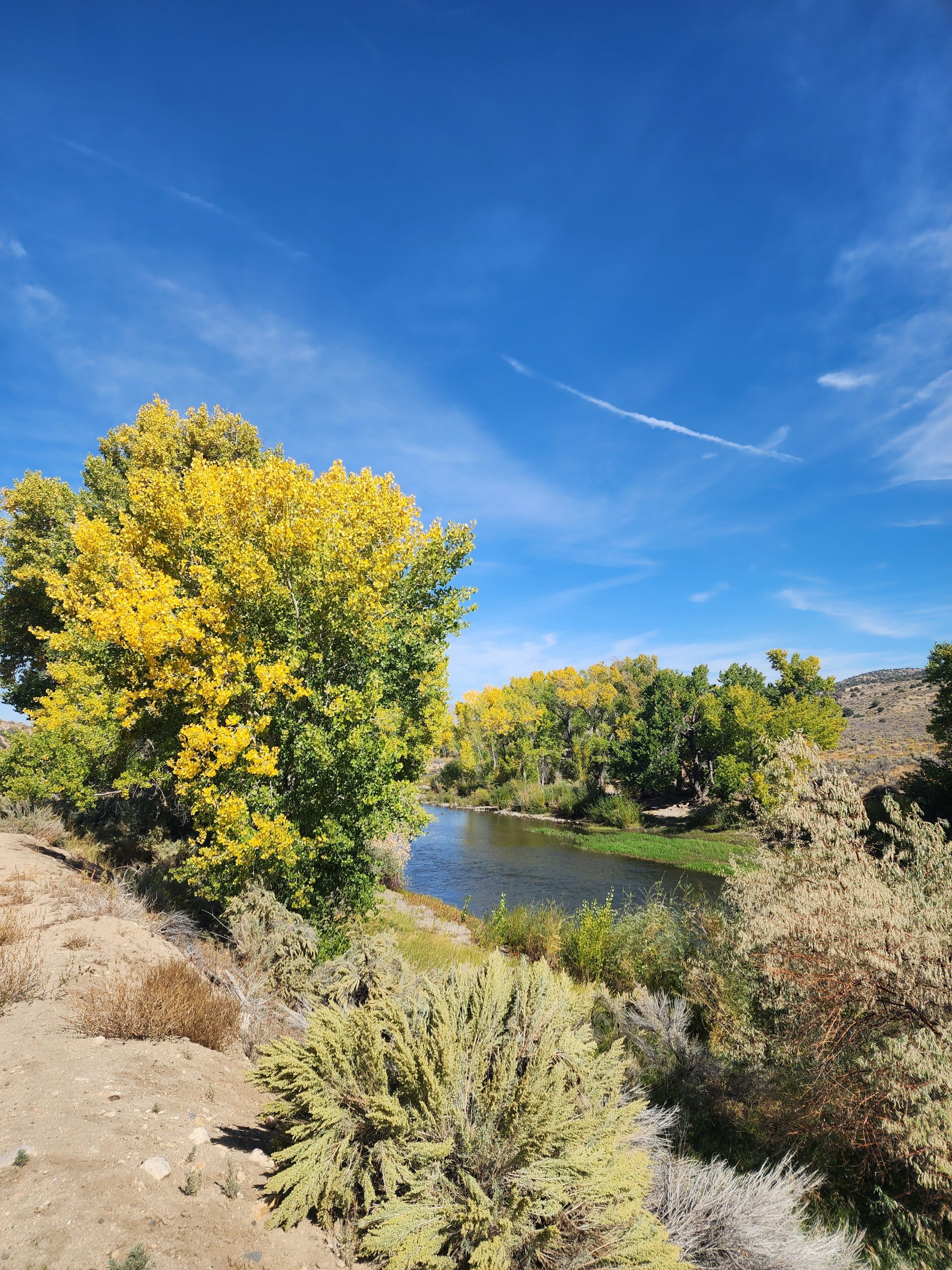 Carson City Park Ranger-led programs in October feature fall colors ...