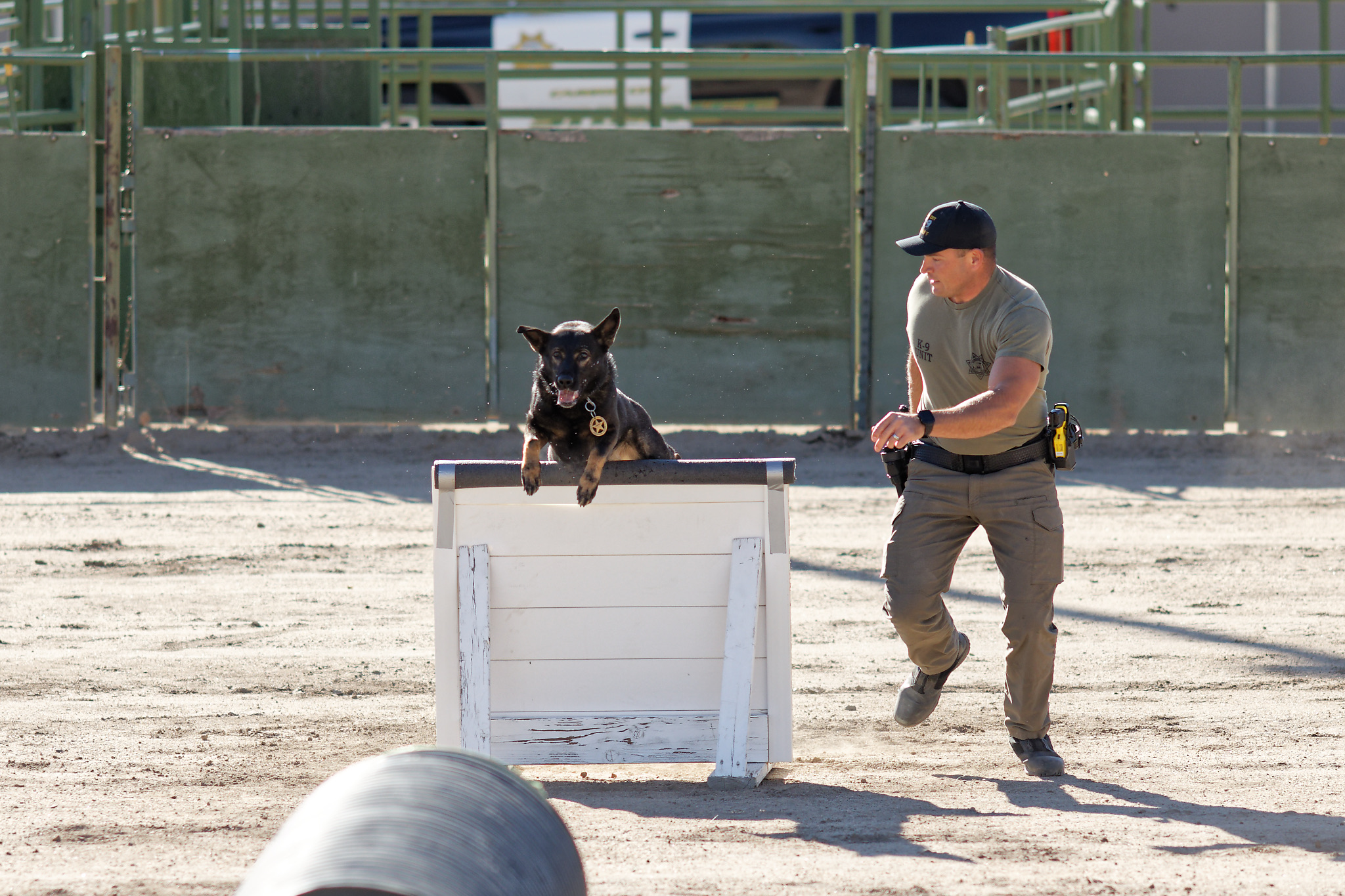 Carson City K9 Challenge results celebrate the cutest four-legged ...