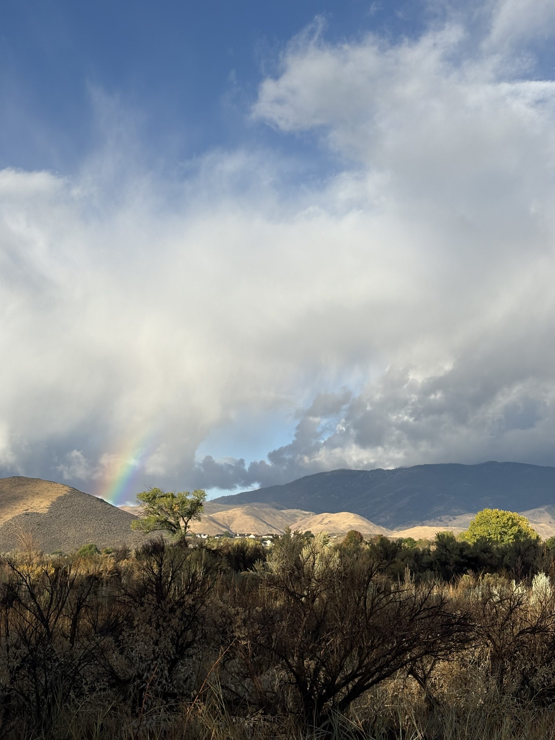 Photo: Rainbow From Riverview Park Trail - Carson Now