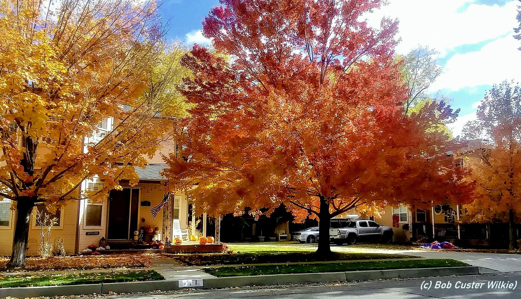 Reader photo: Magnificent Fall Colors along Mountain Street in Carson ...