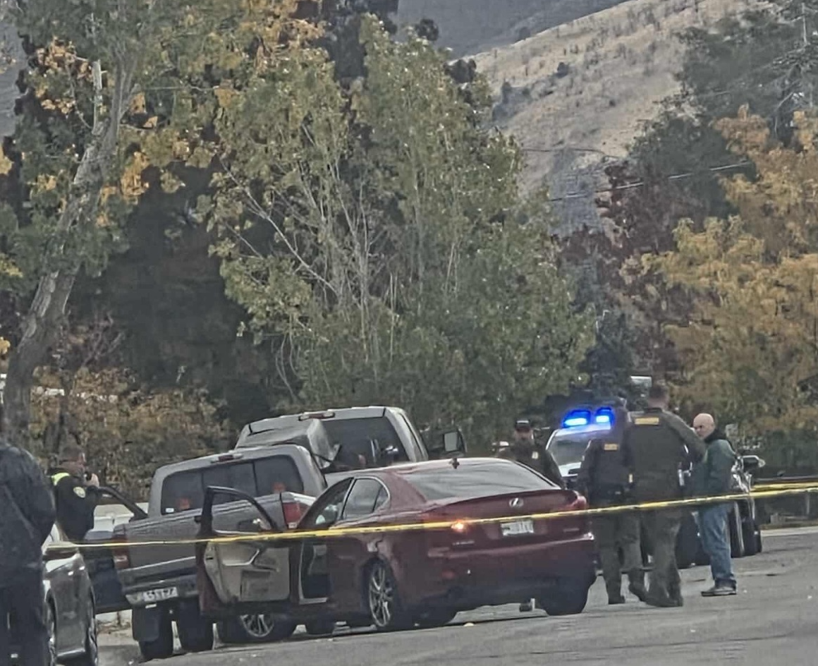Carson City Sheriff: Man shot forced himself into home after hit and ...
