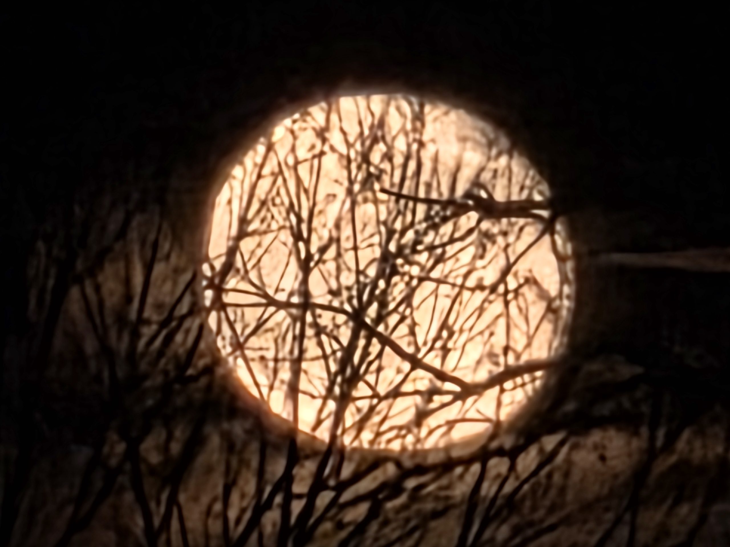 Reader photos: 'November Supermoon' from last week - Carson Now