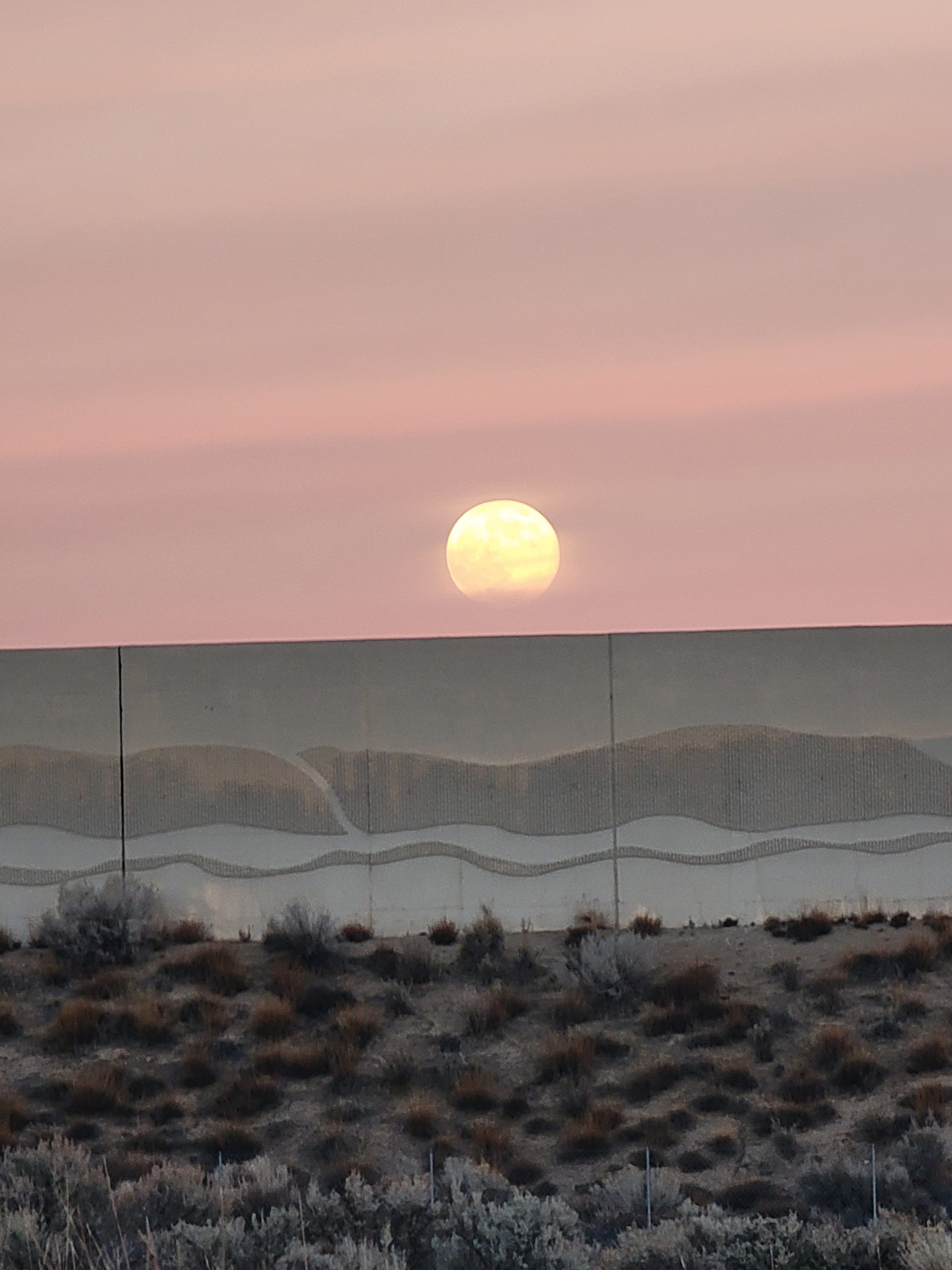 Reader Photo: Full Moon rises while walking dog - Carson Now