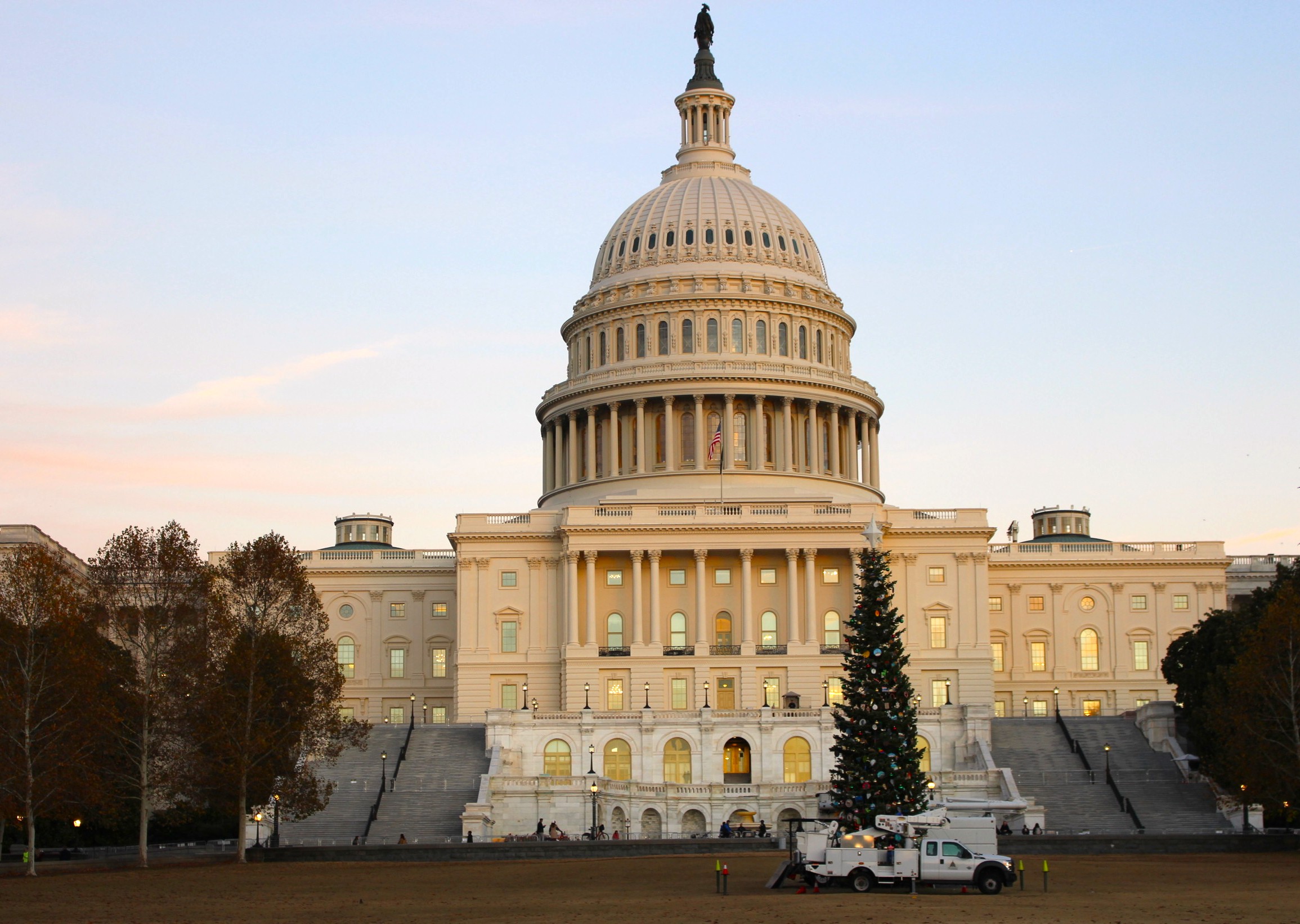The inside story of how a Nevada fir became the U.S. Capitol Christmas ...