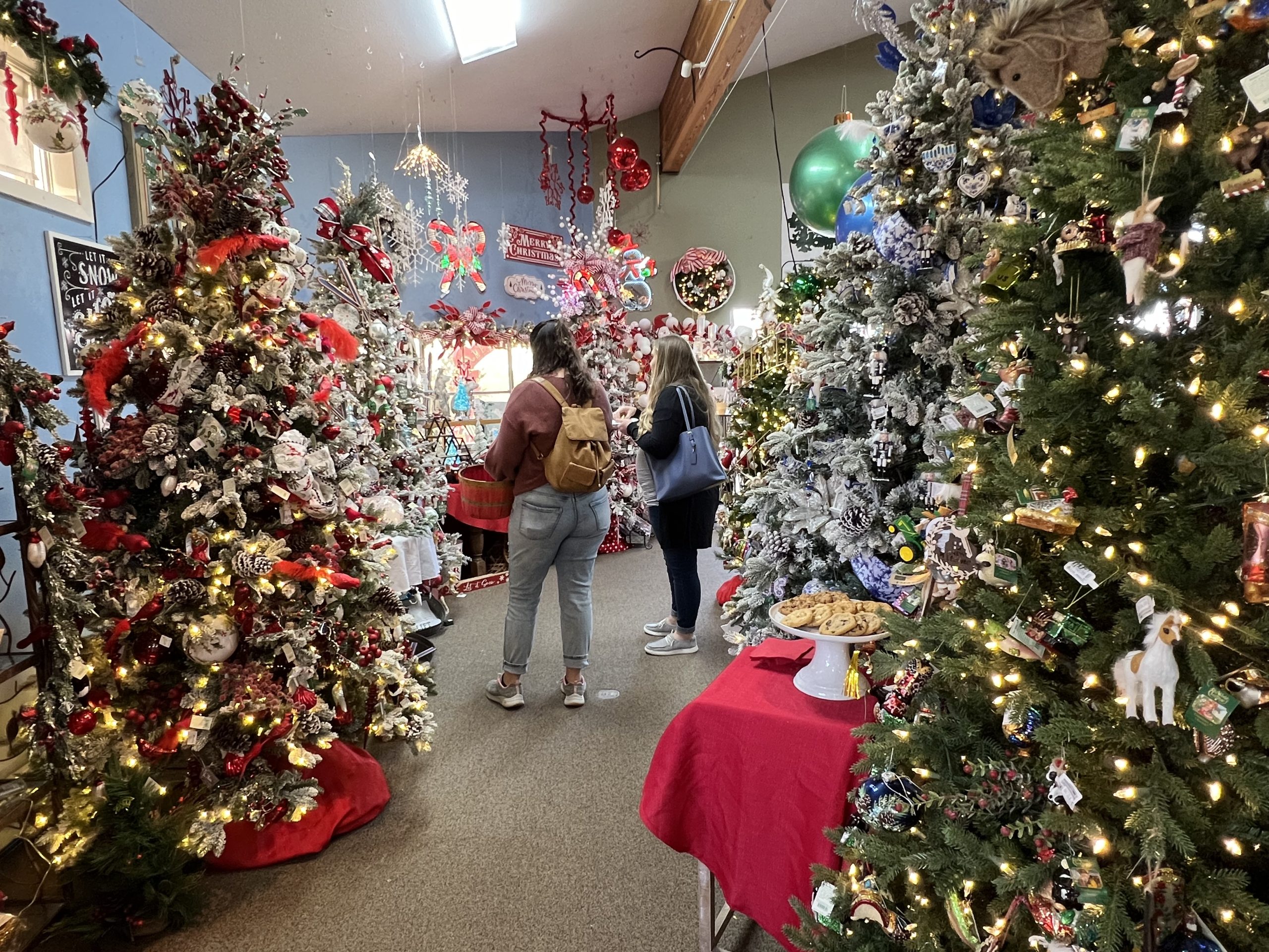 Events happening Wednesday in Carson City and Beyond - Carson Now