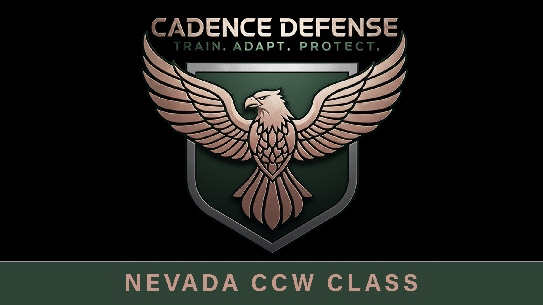 Nevada Concealed Carry (CCW) Qualification Class - Carson City NV ...