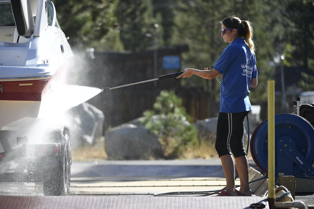 Invasive golden mussels intercepted at Lake Tahoe - Carson Now